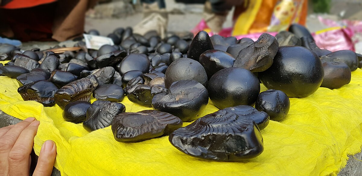 First-ever Shaligram Fest at Rurukshetra to Promote Kaligandaki’s ...