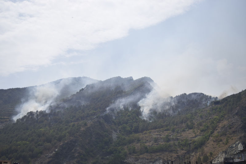 Rapid Spread of Forest Fires: Over 1,800 wildfires in just three months ...