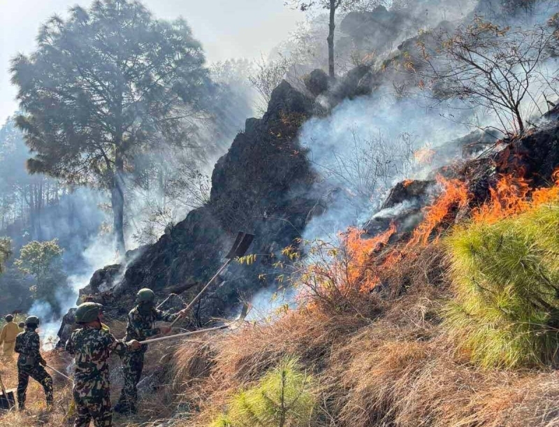 Wildfire in Gorakhnath Community Forest - NepalverifiedNews